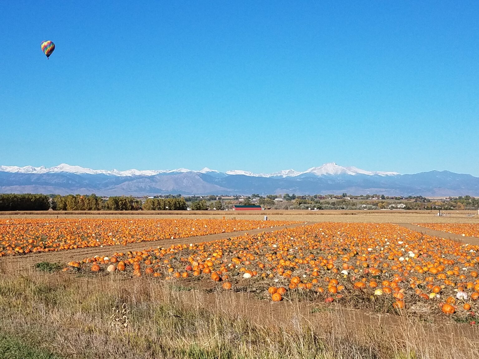 Anderson Farms - Fall Activities for the Entire Family