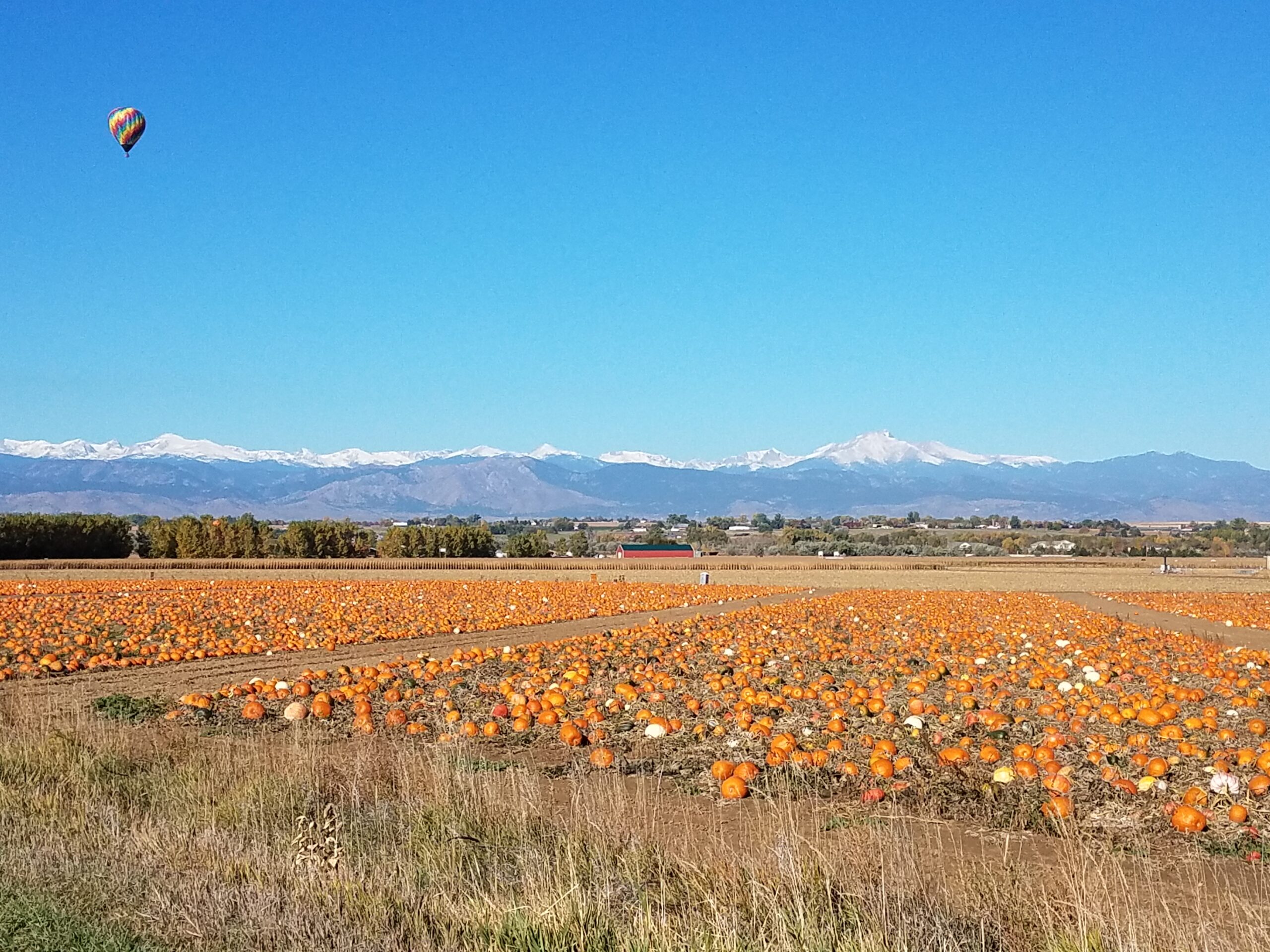 Anderson Farms - Fall Activities for the Entire Family