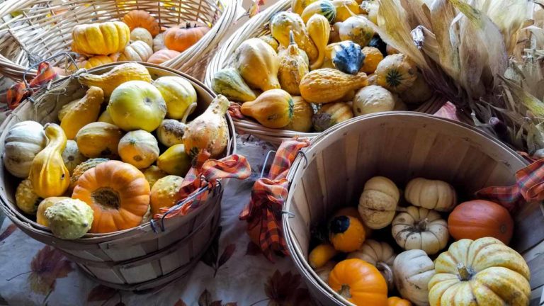 Contact Us - Anderson Farms