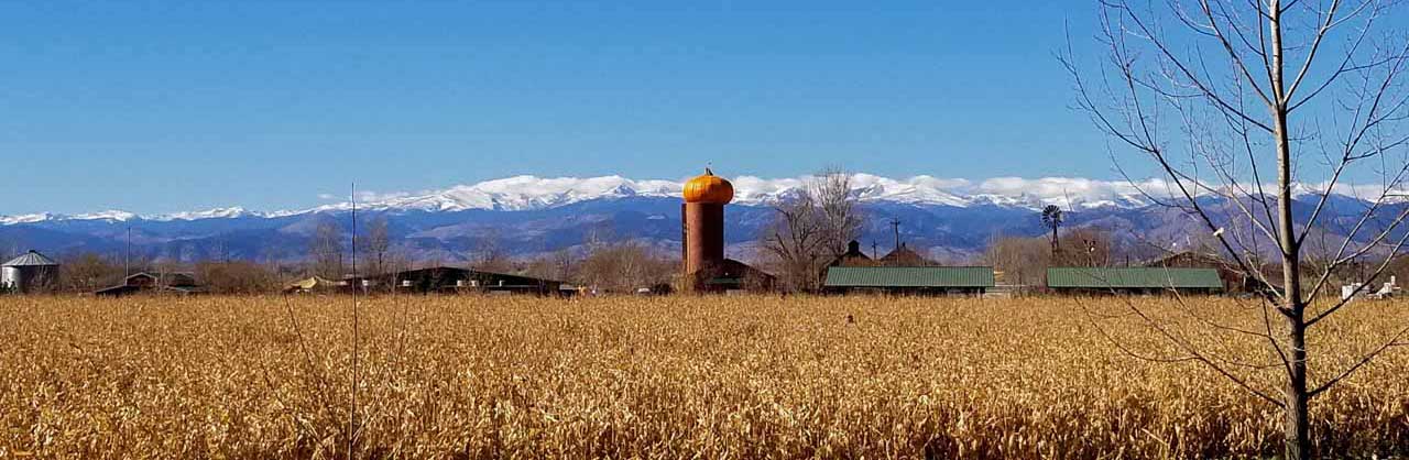 About Us - Anderson Farms