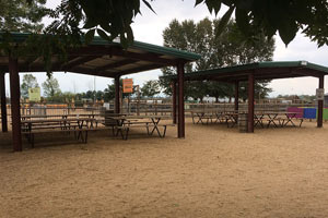 Home - Anderson Farms