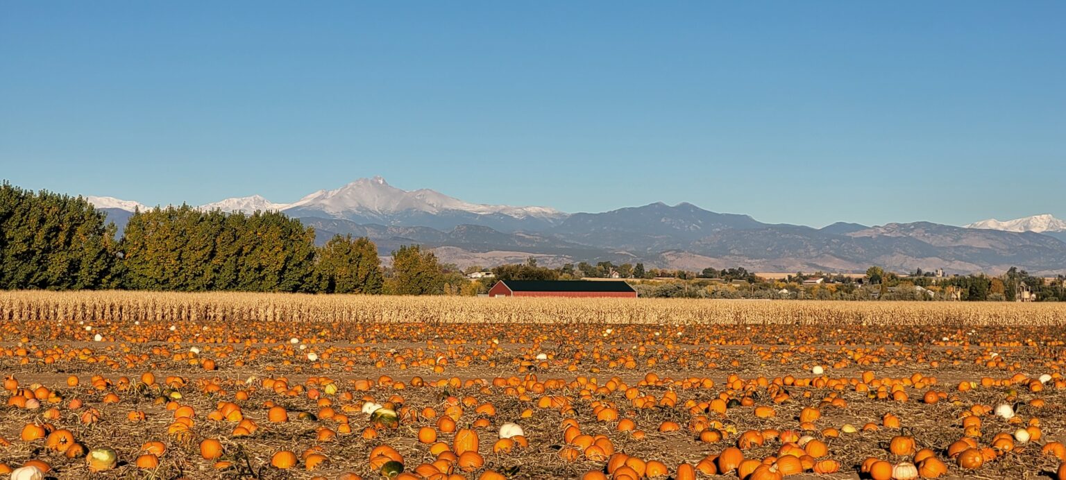 Anderson Farms - Fall Activities for the Entire Family