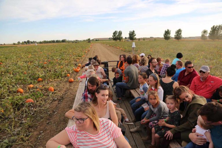 About Us Anderson Farms