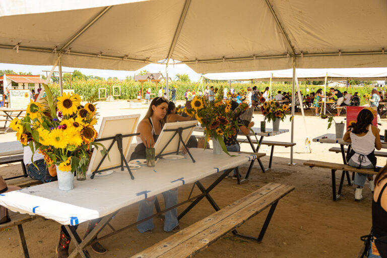 Sunflowers - Anderson Farms