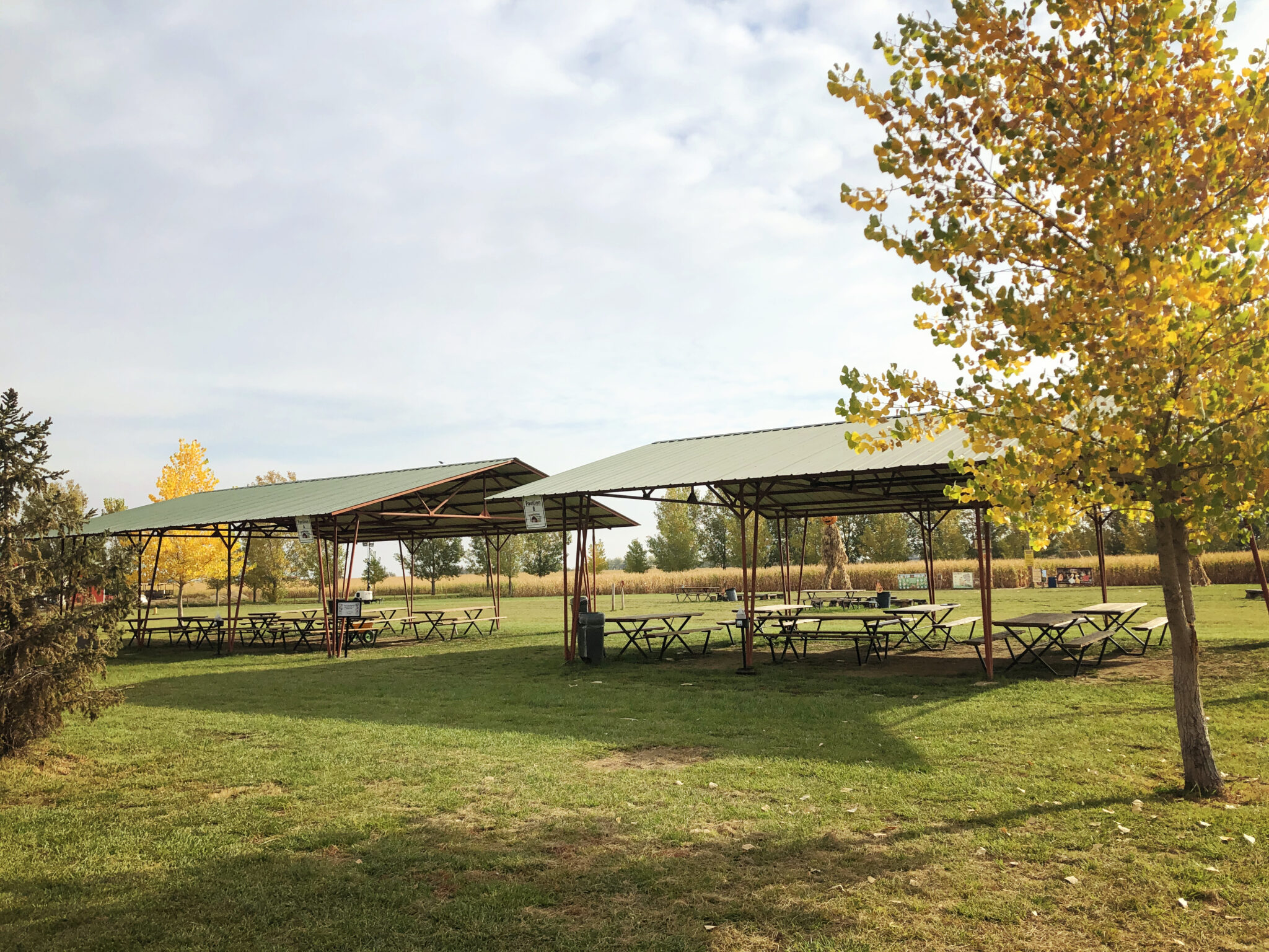 Anderson Farms - Fall Activities for the Entire Family