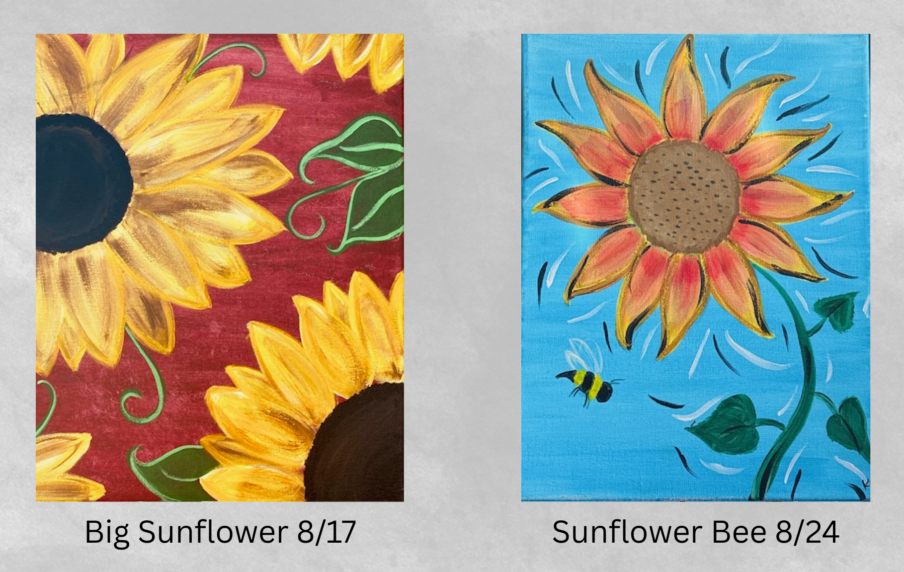 Sunflowers - Anderson Farms