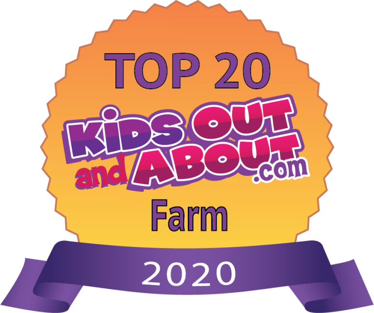 Anderson Farms - Fall Activities for the Entire Family