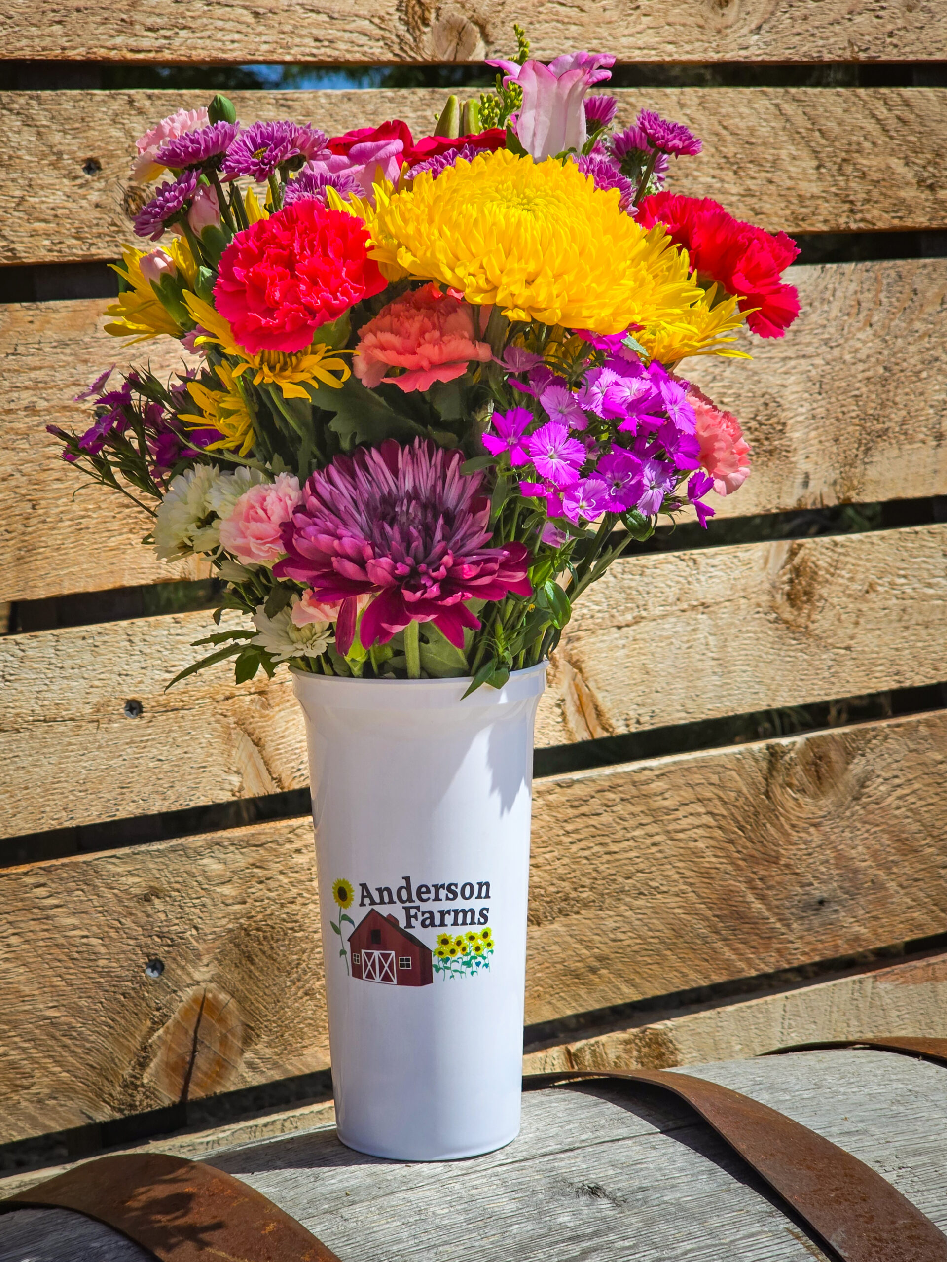 White Stadium Cup - Anderson Farms