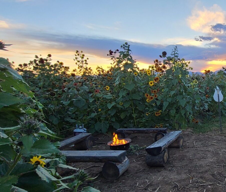 image - Anderson Farms