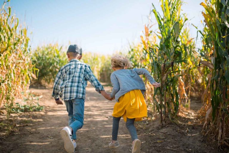Fall Field Trips - Anderson Farms